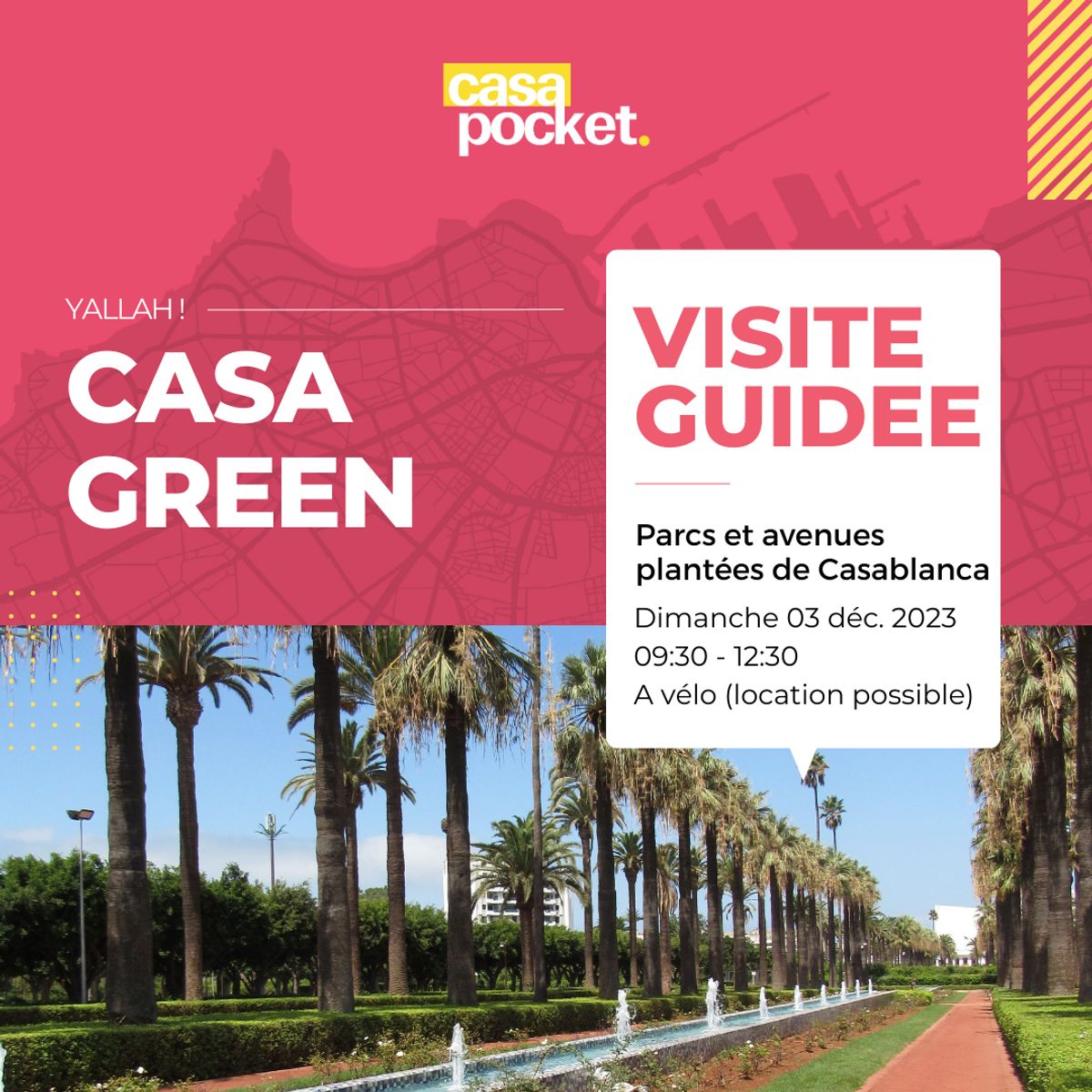 Visite guidée de Casablanca Casa Green