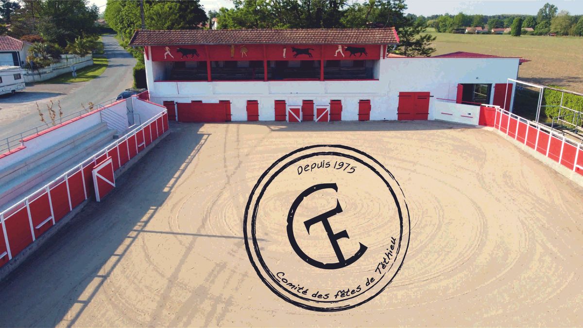 Diversiones en el Ruedo